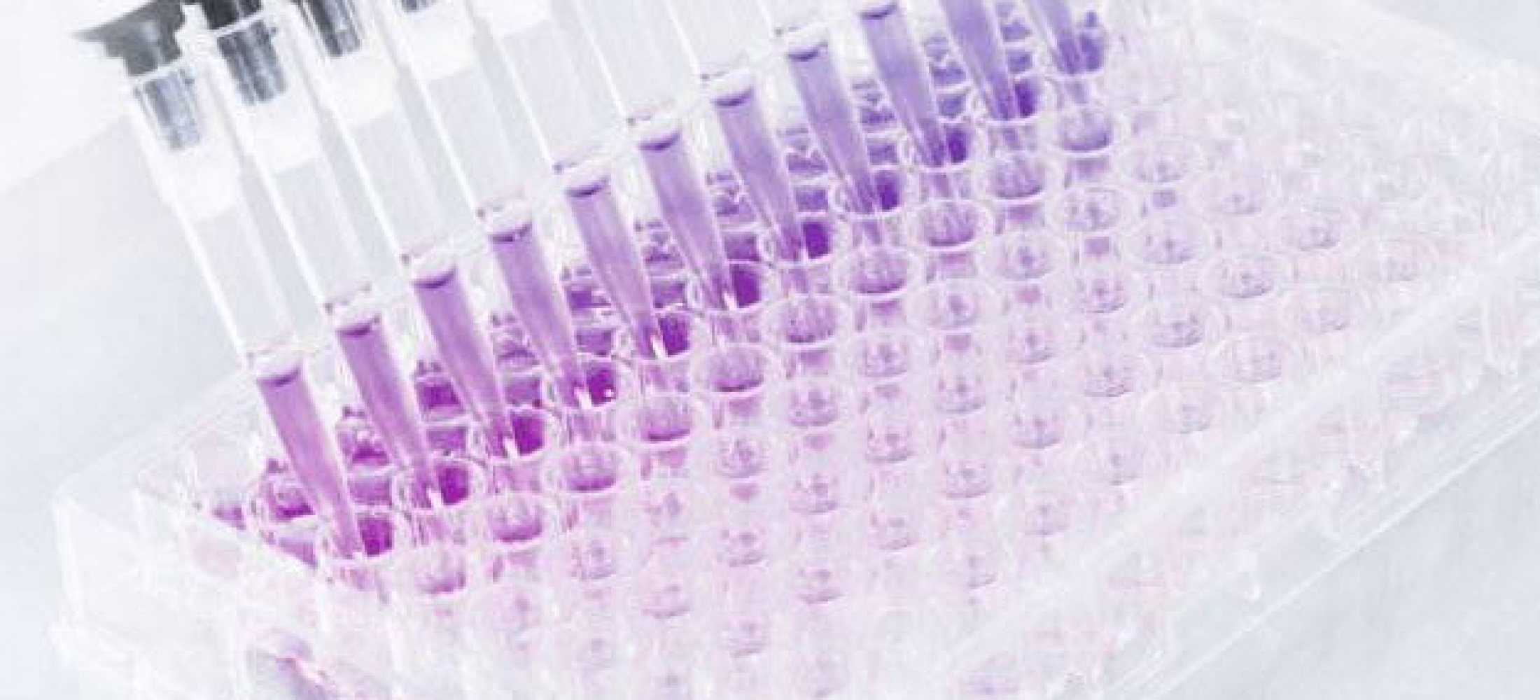 Anti-A Monoclonal Dialab - Super Diagnóstica - produtos VYTTRA